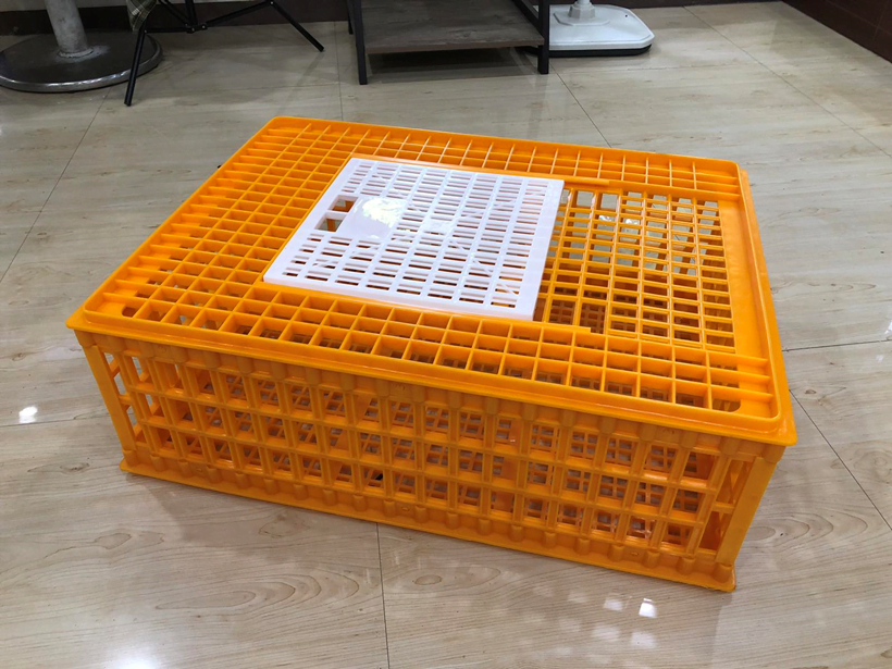 Giordano Crates - JEMCY Enterprises Inc.